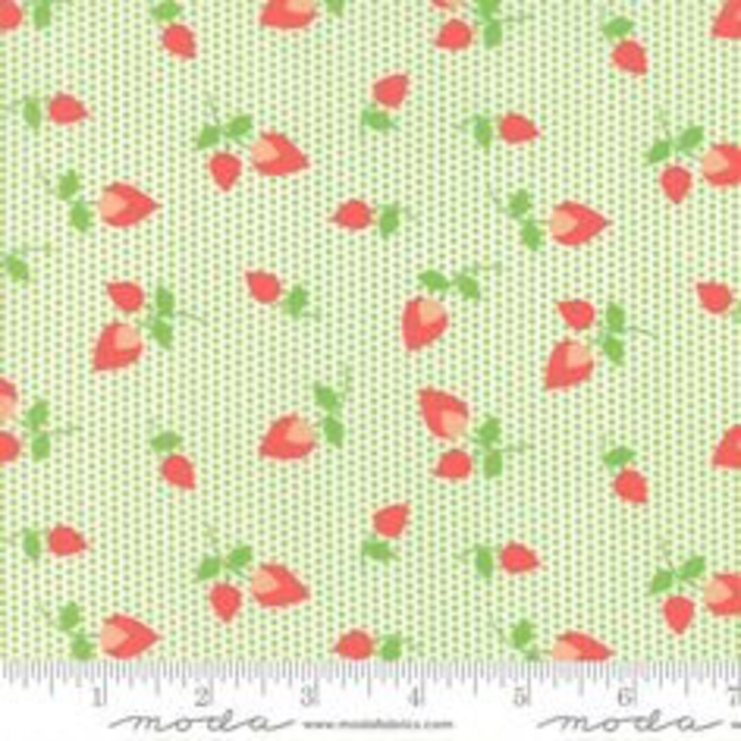 Sundrops 1/2 Yard Celery Cory Yoder Coriander Quilts Moda OUT OF PRINT ...