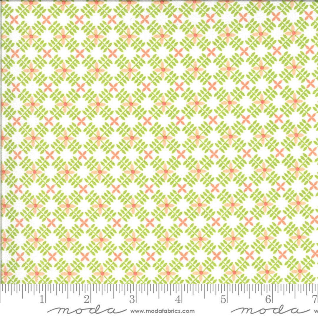 By the 1/2 Yard MODA Apricot & Ash Pistachio Corey Yoder of Coriander ...