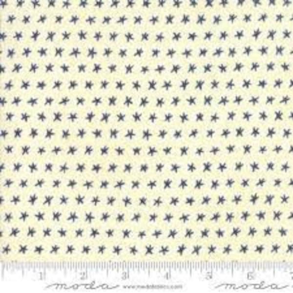 Starfish Fabric - Etsy