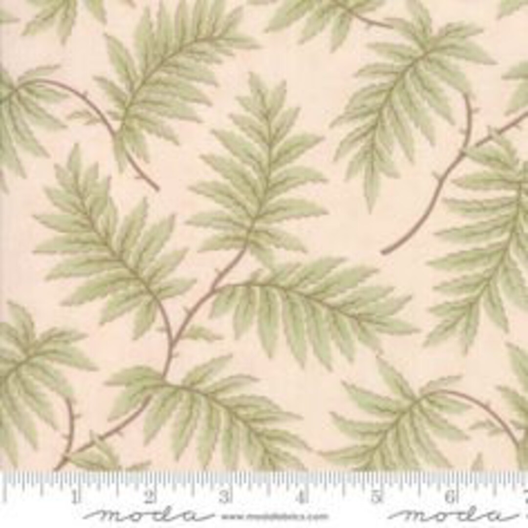 Poetry 1/2 YARD Blush 44135 15 Ferns 3 Sisters Moda Out of Print Fabric ...