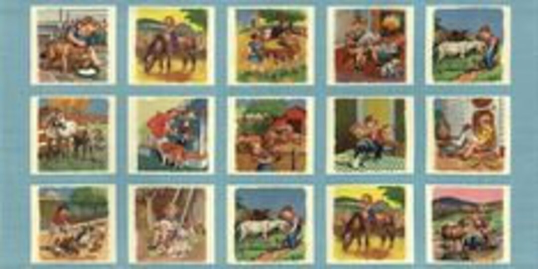 American Jane Potluck Sky Panel 23x44 - Etsy