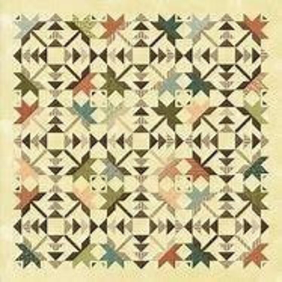 Turnstile Quilt KIT 68x68" Sandy Gervais Plush Fabric Moda Out of Print ...
