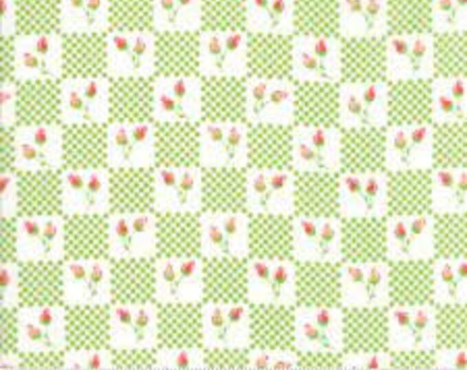 Apricot and Ash Panel Cloud White Corey Yoder 36 X 60 Cotton Panel ...