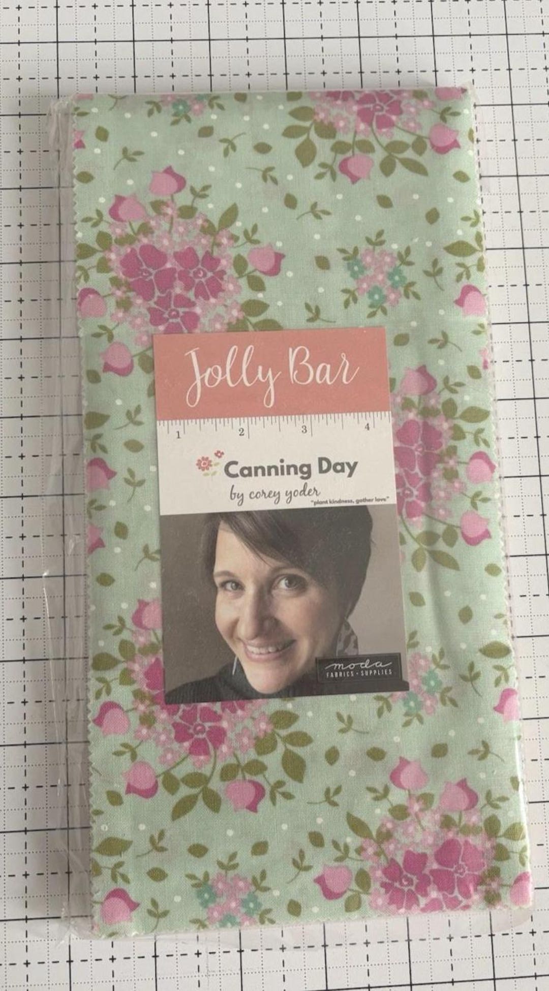 Canning Day Jolly Bar 42 5x10"pcs Corey Yoder Moda Fabric Out of Print ...