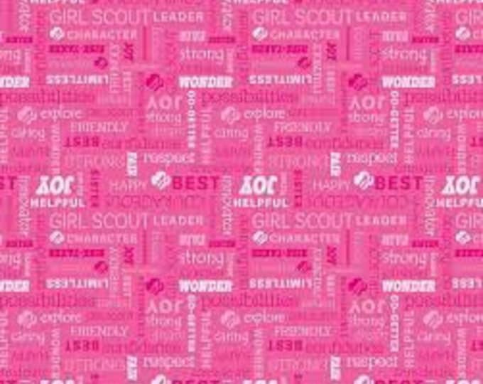 Modern Scouting Panel Gray Riley Blake - 36"x 44" - P6205 - 2016 ...