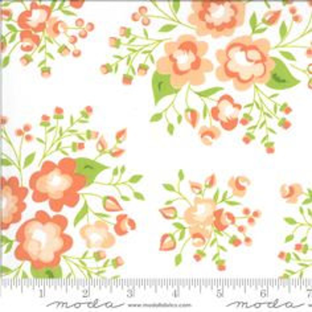 Apricot and Ash 1/2 Yard Moda Cloud 29101 - Floral by Corey Yoder of ...