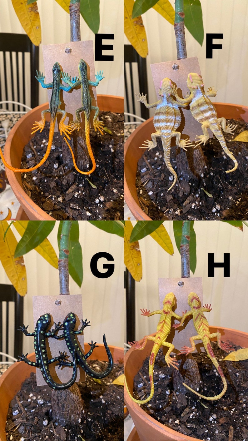 Lizard Biting Earrings | Etsy