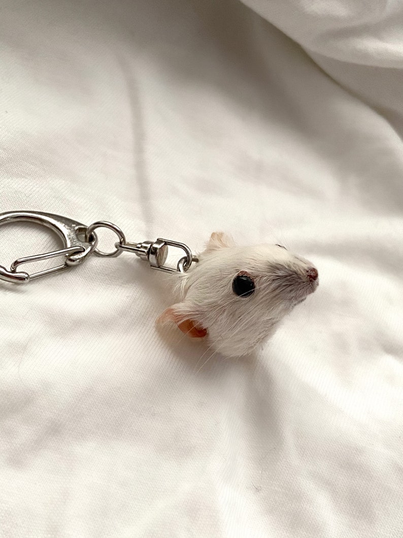 Taxidermy Mouse Head Keychain - Etsy