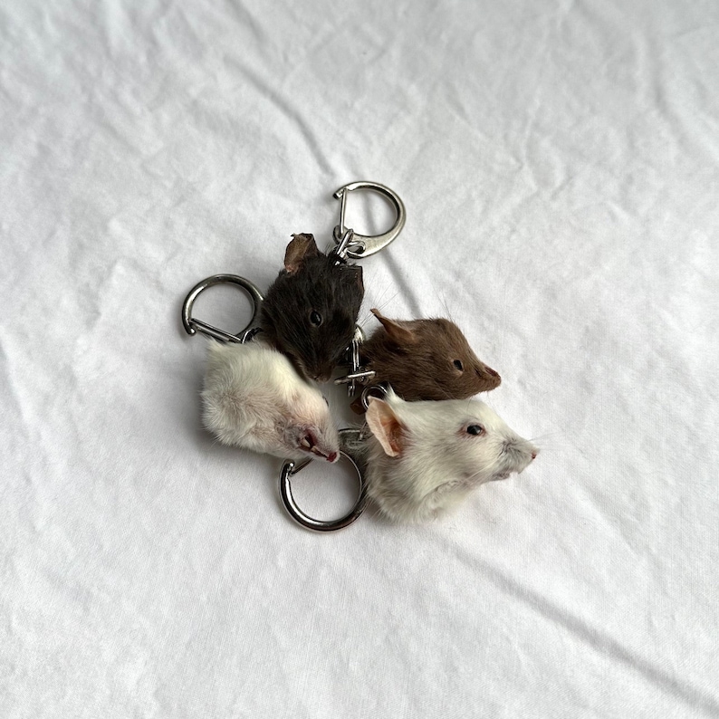 Taxidermy Mouse Head Keychain - Etsy