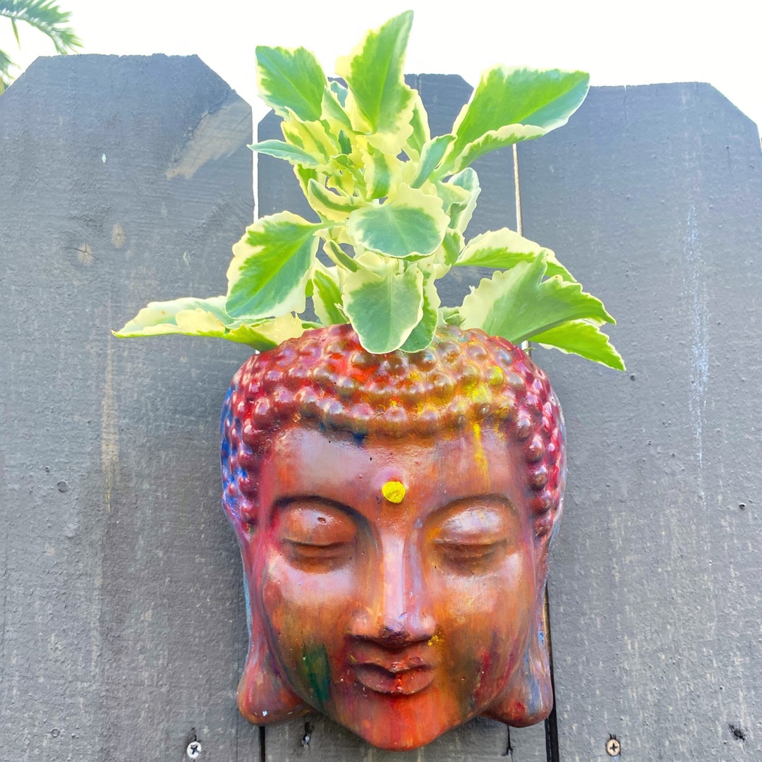 Terracota Buddha Face Planter (concrete) *NO PLANTS - Etsy
