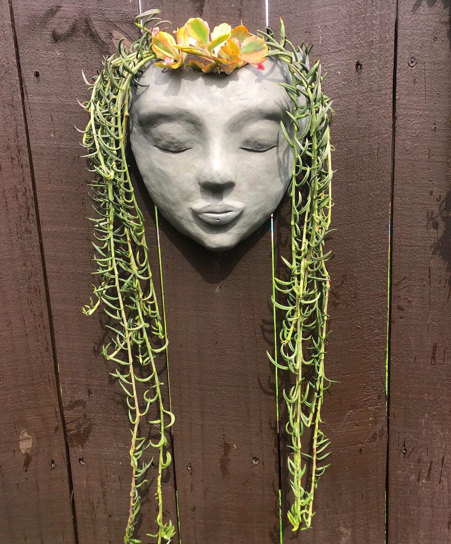 Antiqued Silver Face Wall Planter concrete NO PLANTS - Etsy