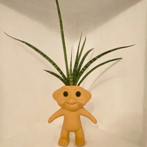 Troll Doll Planter With Real Succulent sansivieria - Etsy