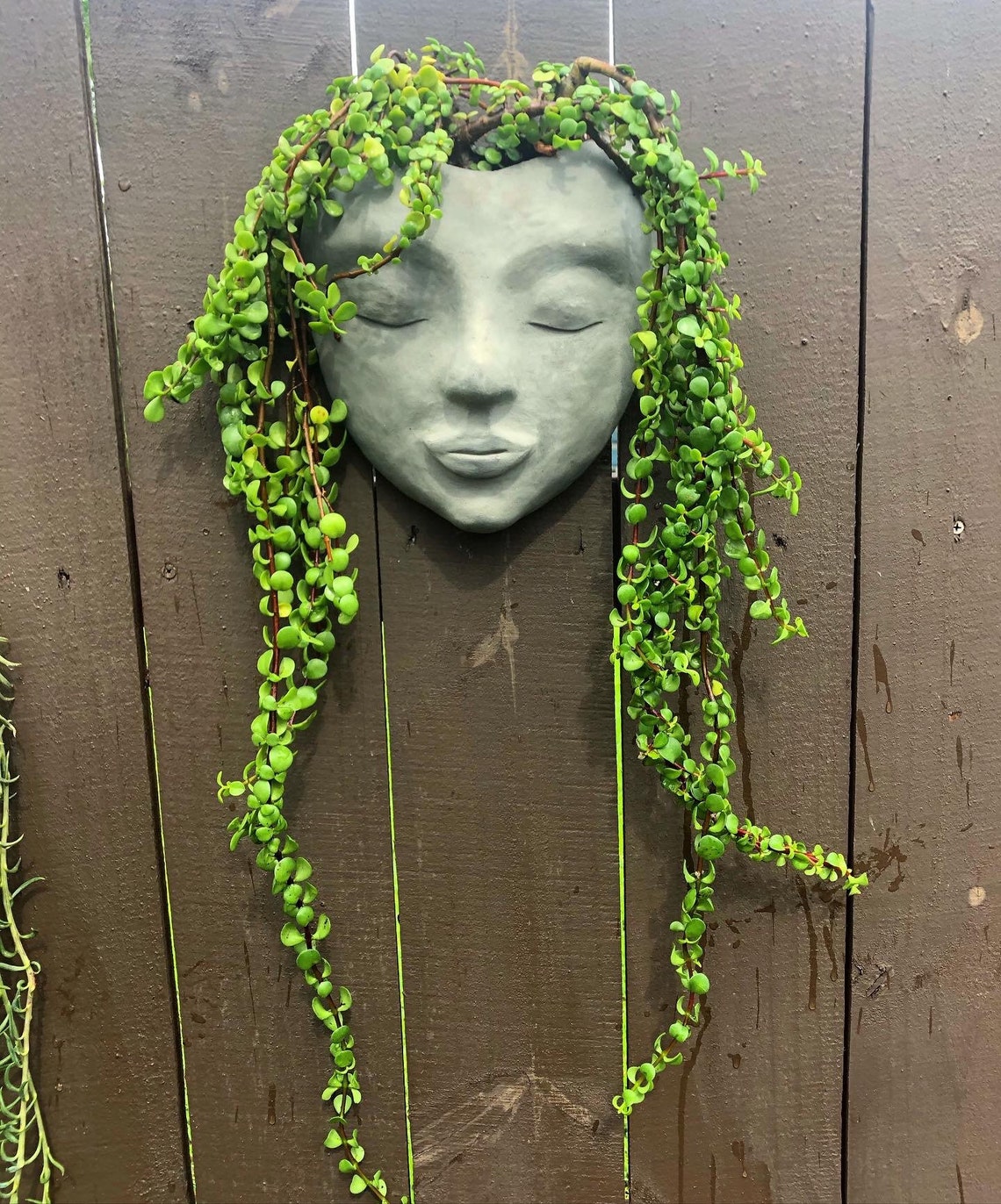 Antiqued Silver Face Wall Planter concrete NO PLANTS - Etsy