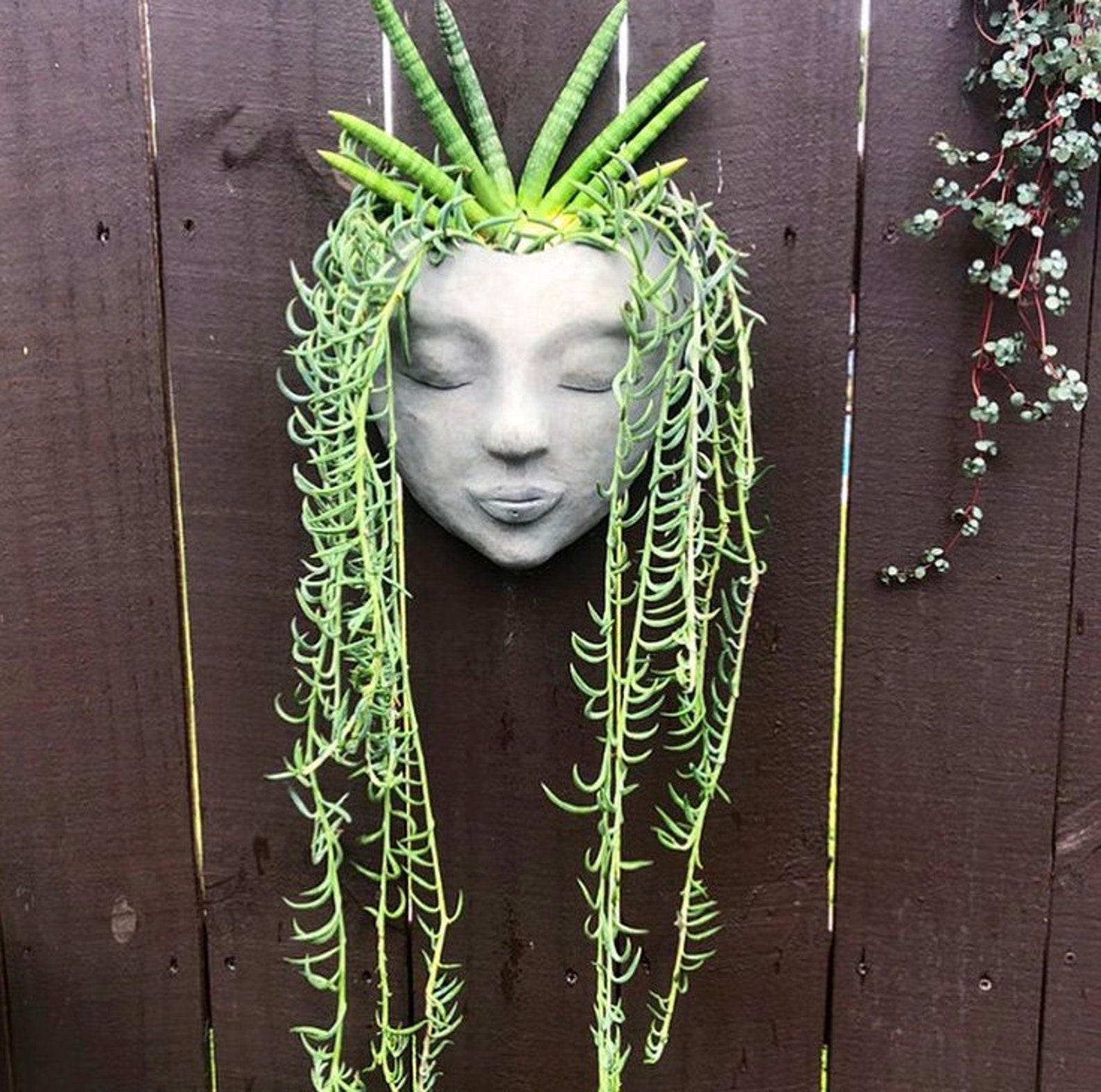 Face Concrete Wall Planter | Etsy