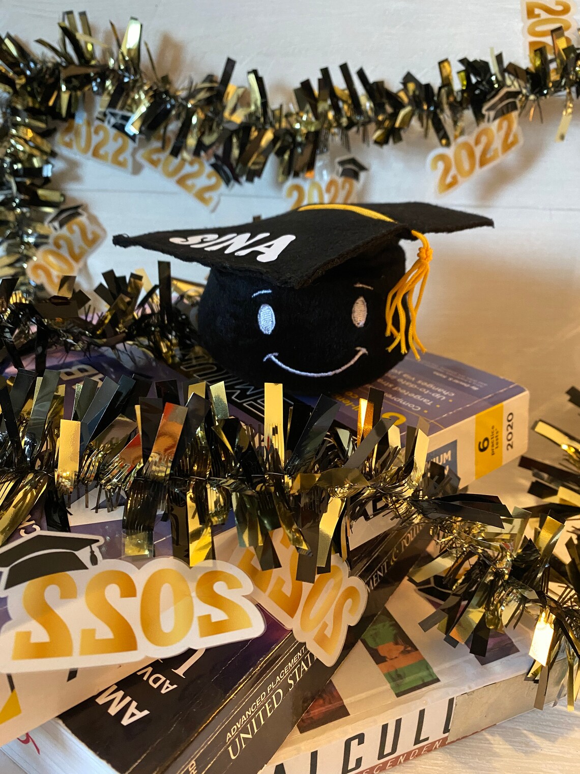 Personalized Graduation Gift Plush Graduation Cap With Name | Etsy