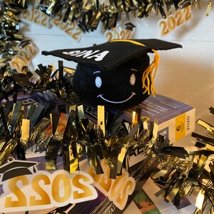 Personalized Graduation Gift, Plush Graduation Cap With Name, CUSTOM ...