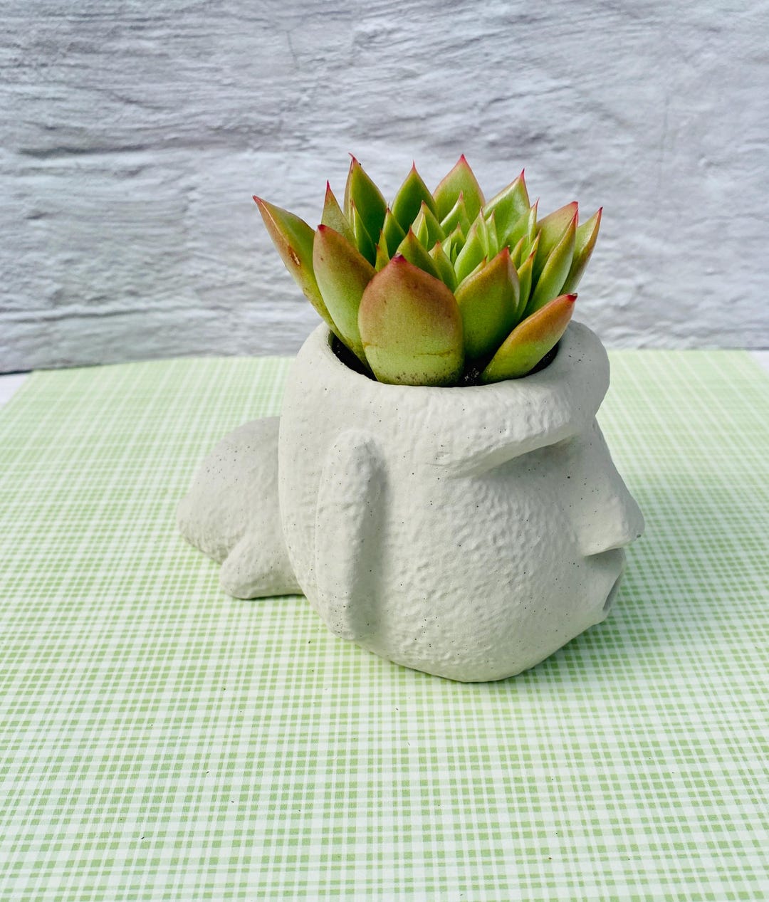 Concrete Cute Sleepy Moai Succulent Planter Desk Pen Holder Handmade ...
