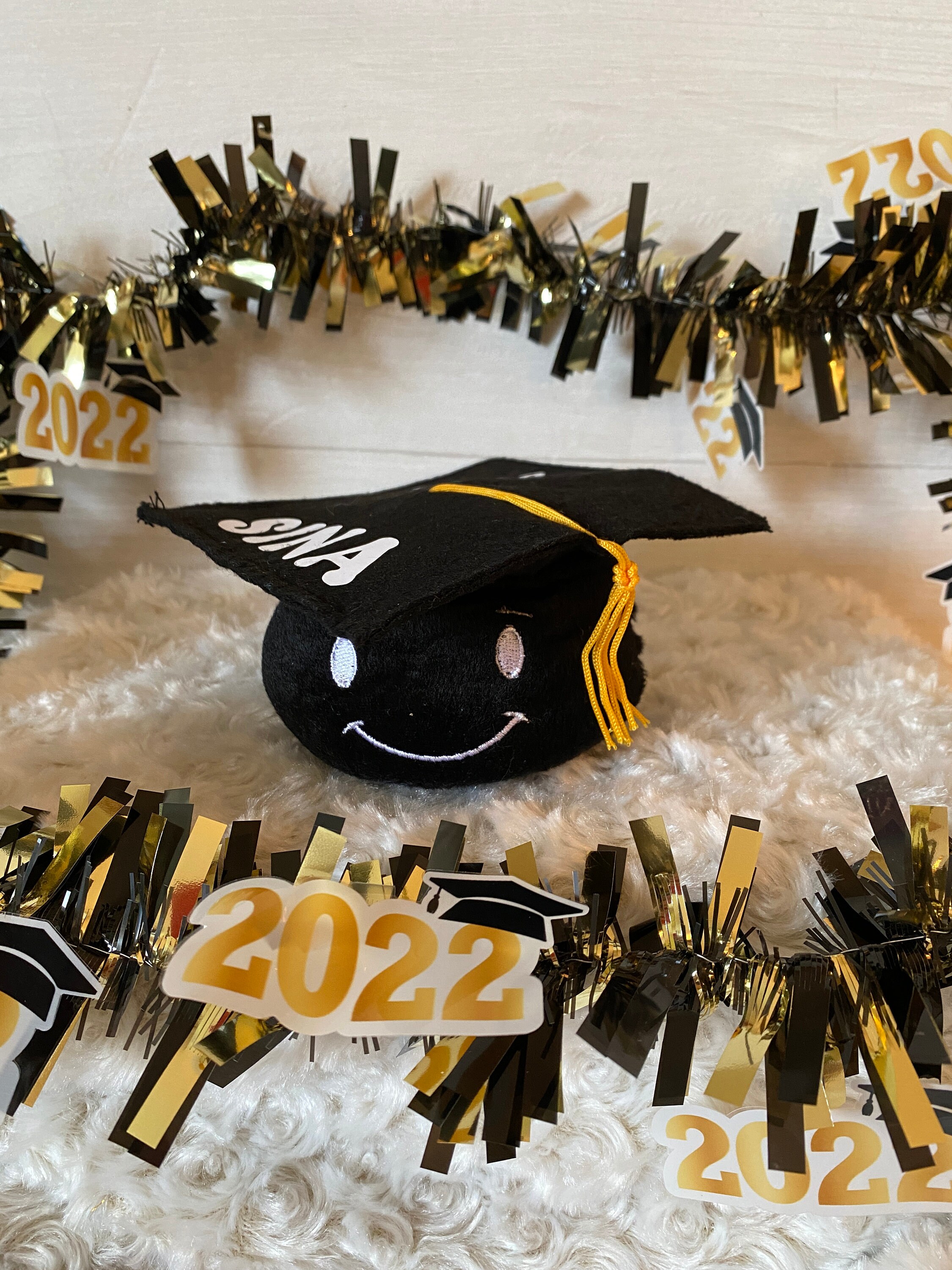 Personalized Graduation Gift Plush Graduation Cap With Name | Etsy