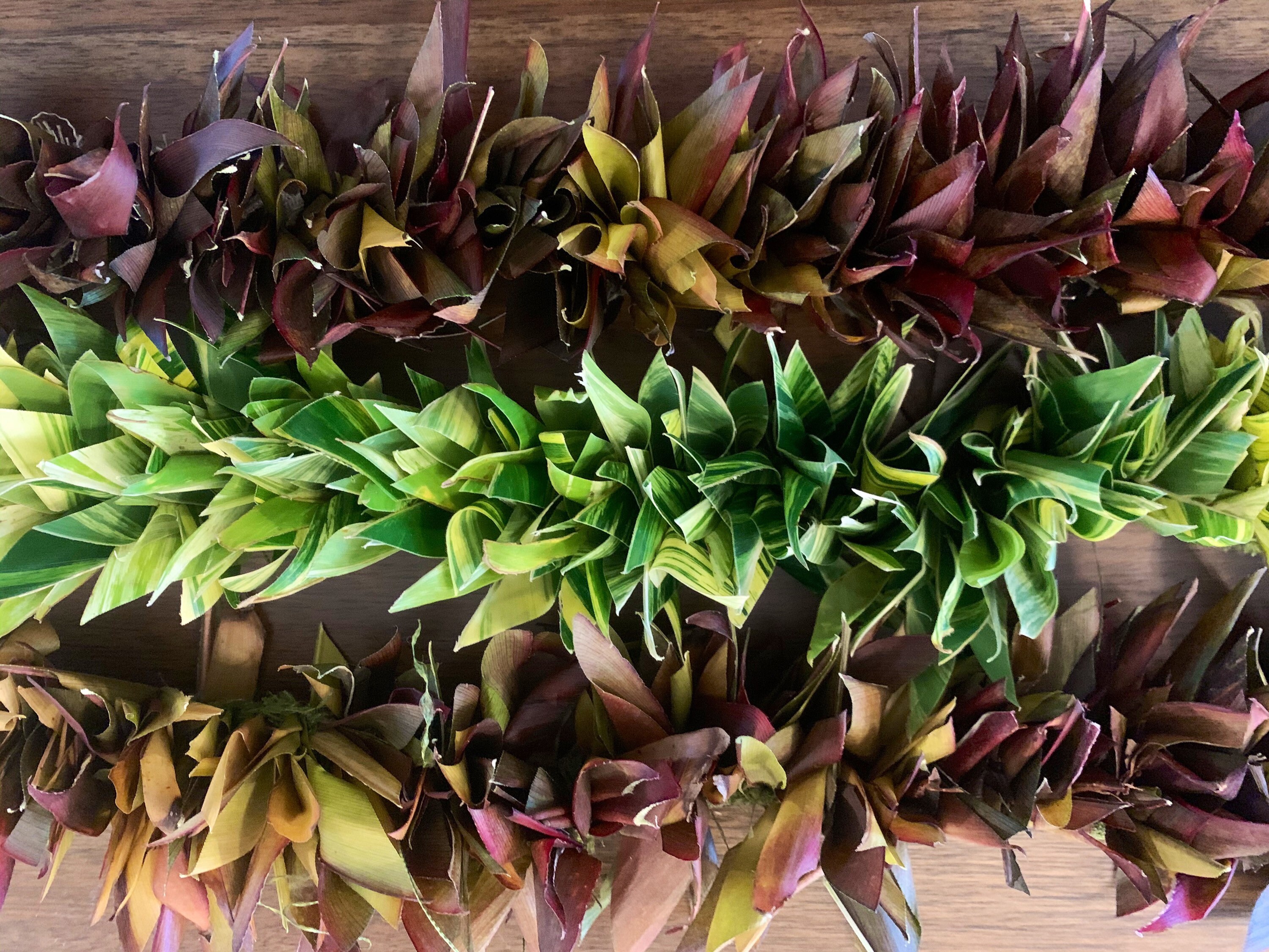 Lei Haku Poo Ti Leaf Ribbon | Etsy