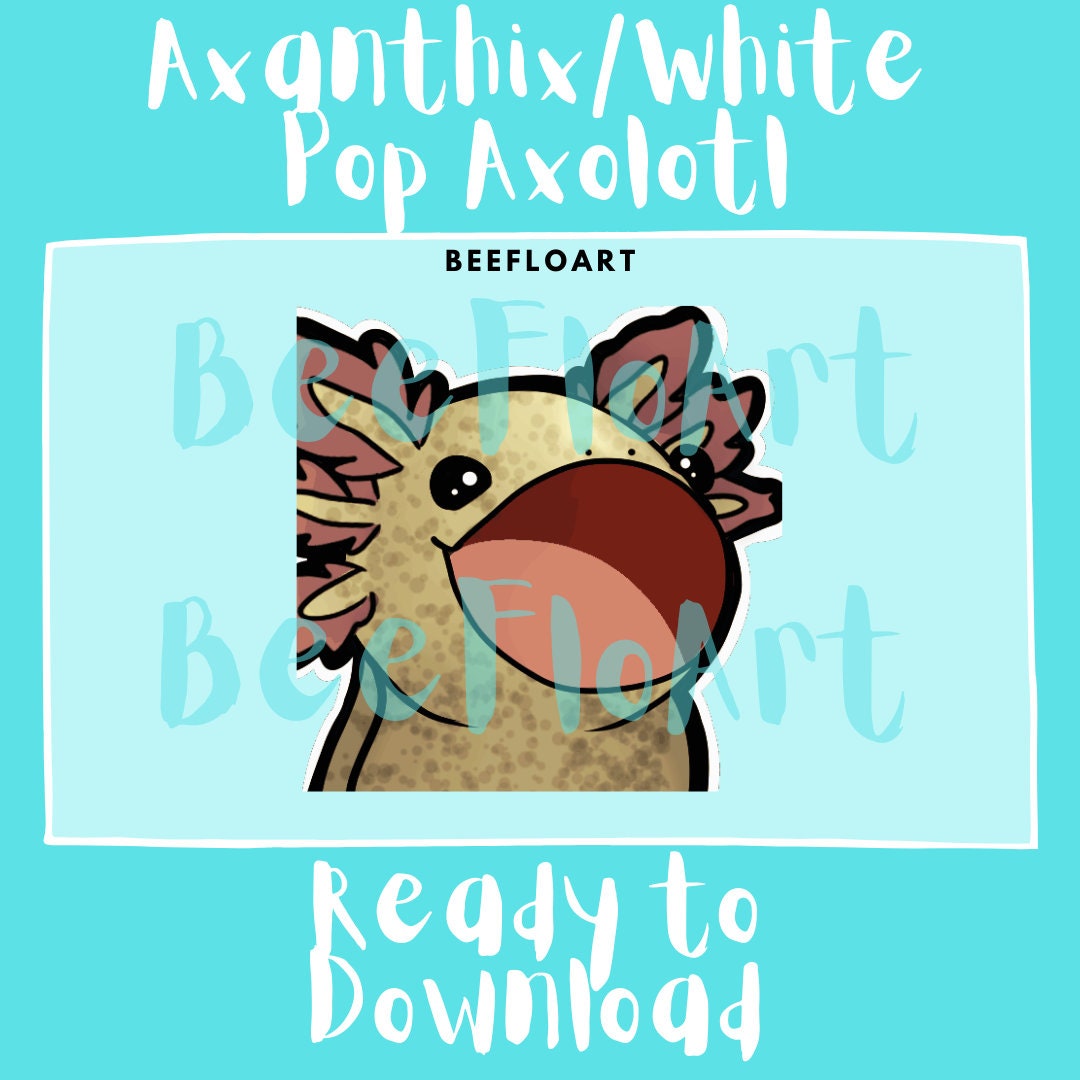Animated Axanthic/white Axolotl (pop Cat) | Emote | Ready to Download ...