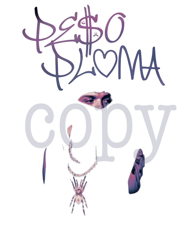 Best Seller Peso Pluma PNG Sublimation DTF Digital Download Image File ...