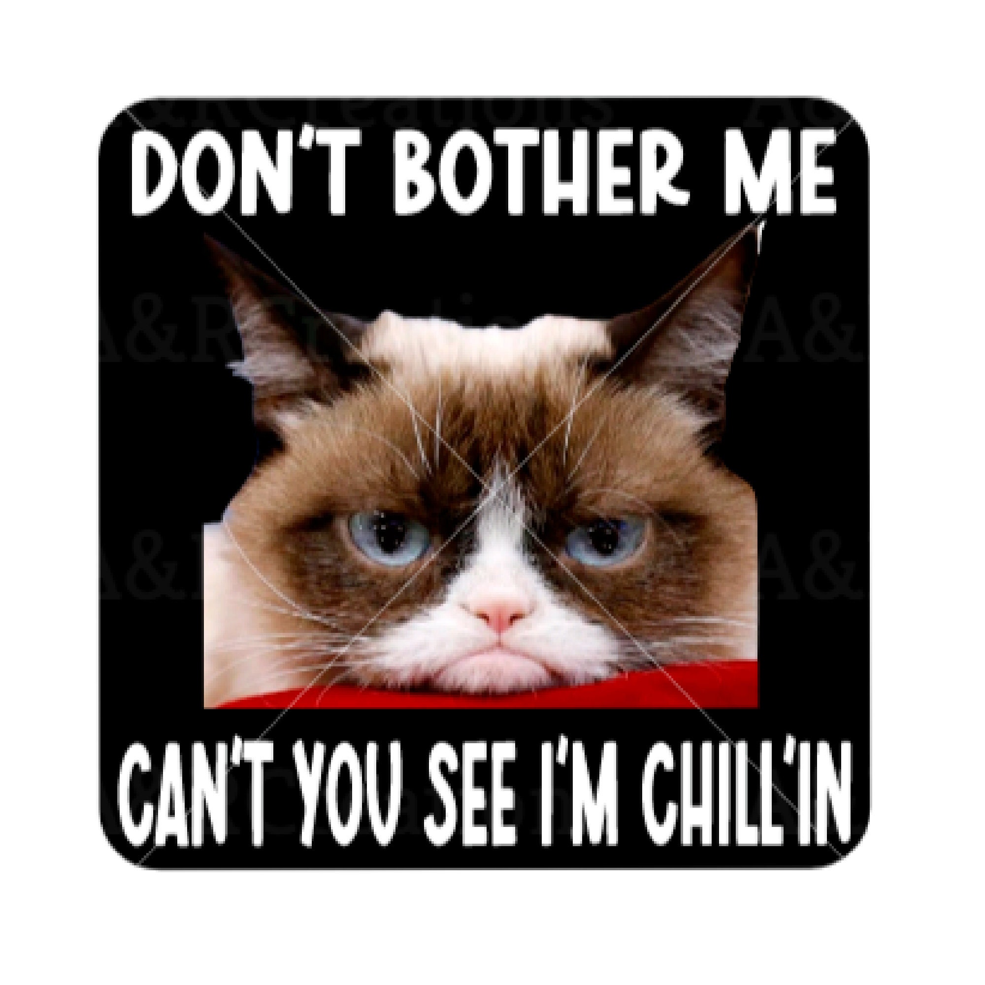 8 Funny Cat Meme Stickers - Etsy