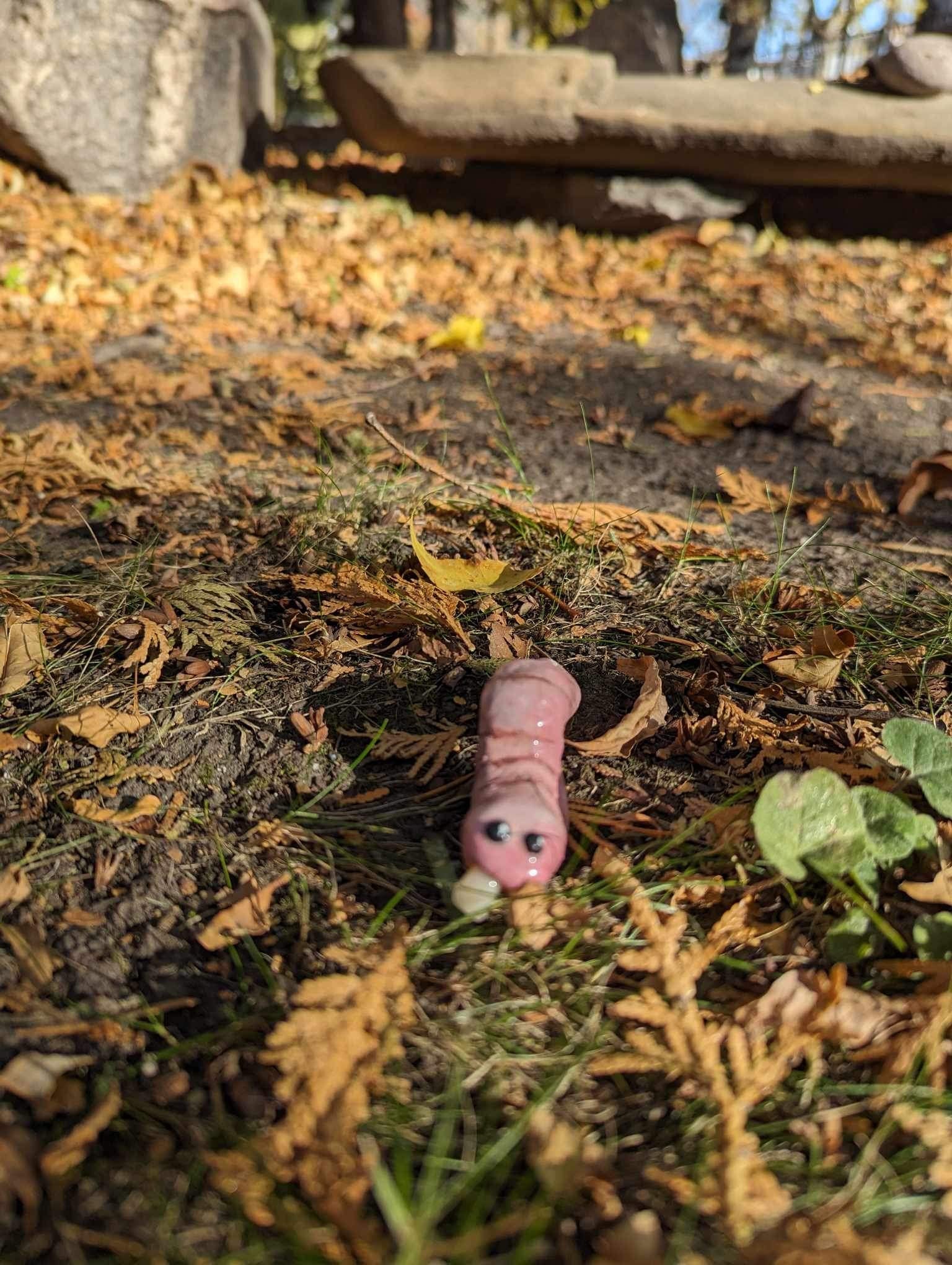 Polymer Clay Worm Sculpture, Sculpted Critter, Oddities, Weird Art ...