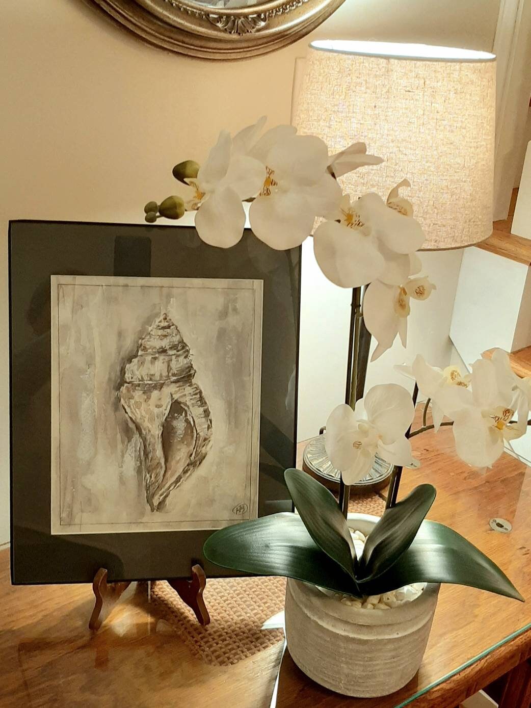 Sea Shell Collection Hand-painted Watercolor Inspired by Cape Cod ...