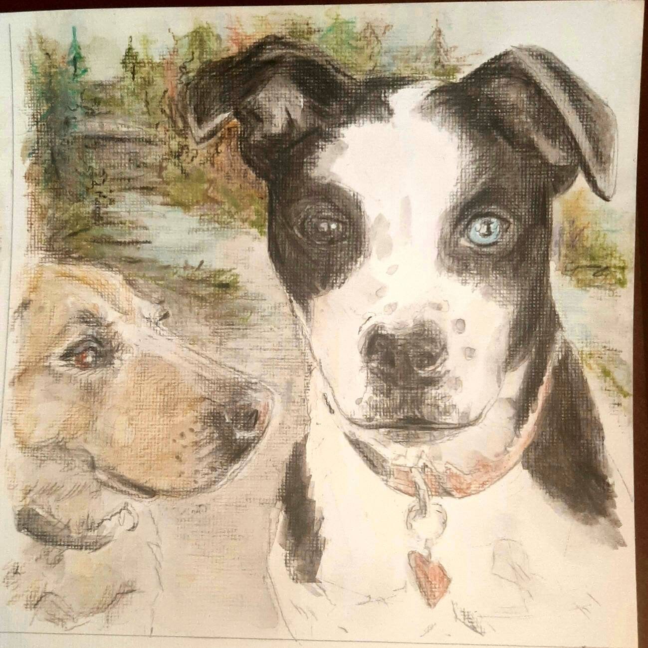 Pet Portraits - Custom Hand-painted Sea Dogs and Cottage Cats Family ...