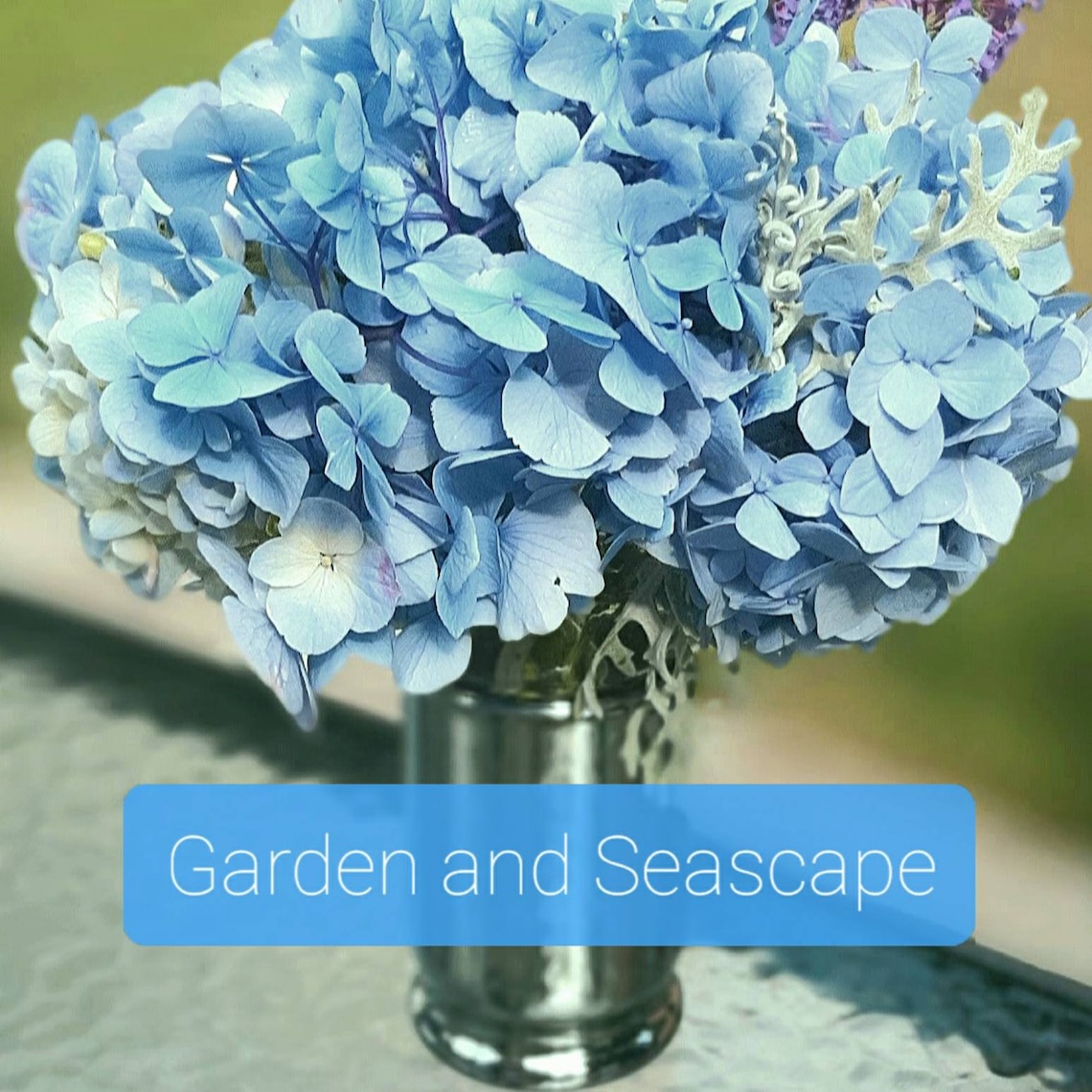 Hydrangeas of Cape Cod. Original Hand-painted Art Acrylic on - Etsy