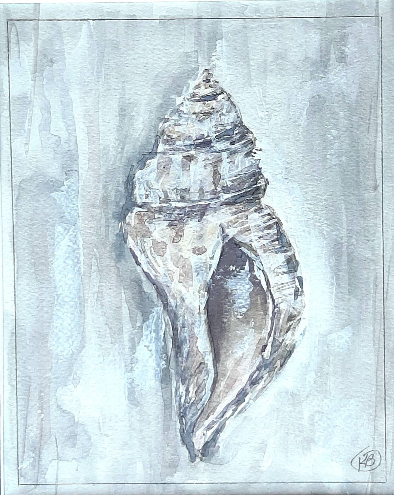 Sea Shell Collection Hand-painted Watercolor Inspired by Cape Cod ...
