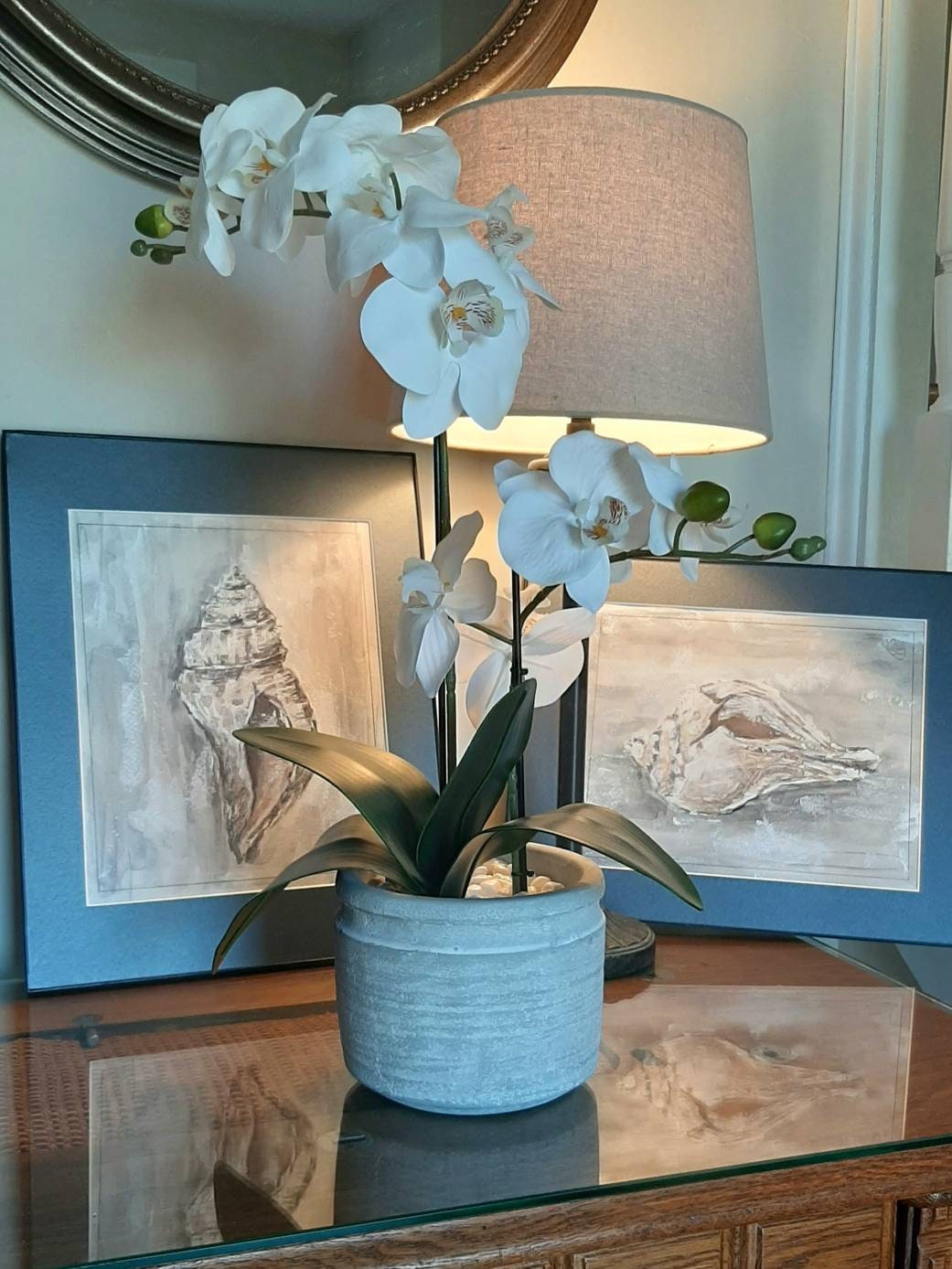 Sea Shell Collection Hand-painted Watercolor Inspired by Cape Cod ...