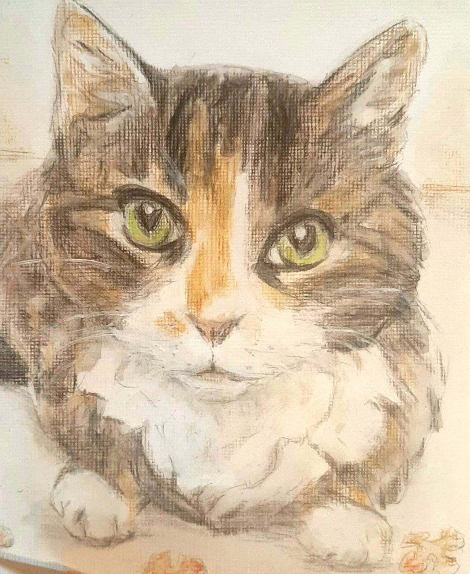 Pet Portraits - Custom Hand-painted Sea Dogs and Cottage Cats Family ...