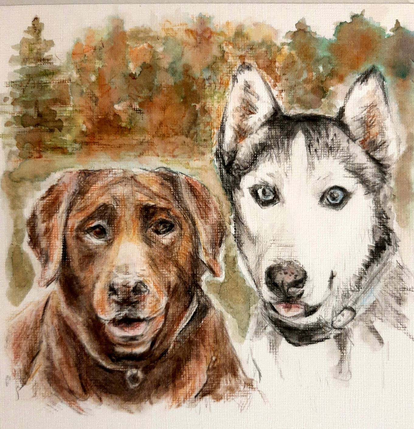Pet Portraits - Custom Hand-painted Sea Dogs and Cottage Cats Family ...