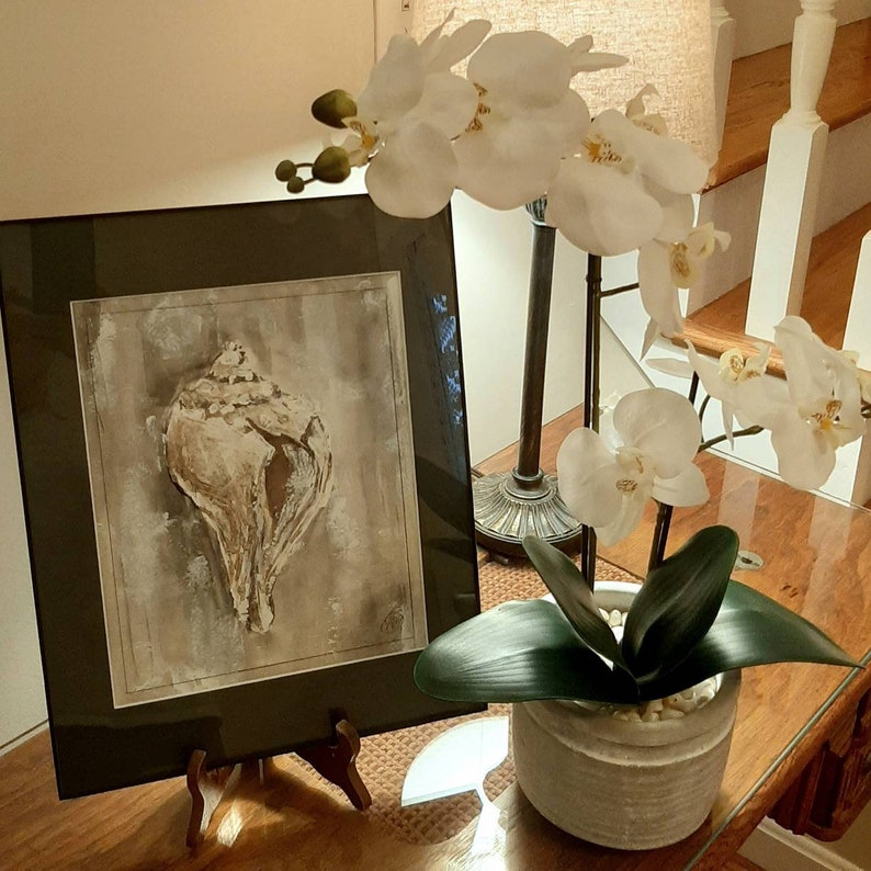 Sea Shell Collection Hand-painted Watercolor Inspired by Cape Cod ...