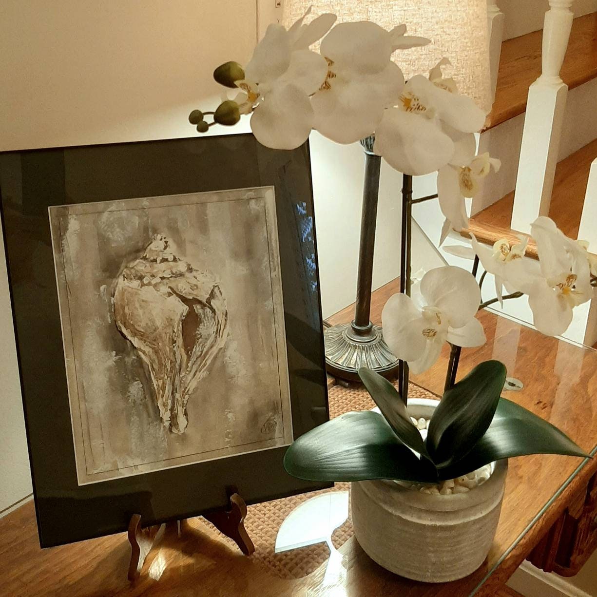 Sea Shell Collection Hand-painted Watercolor Inspired by Cape Cod ...