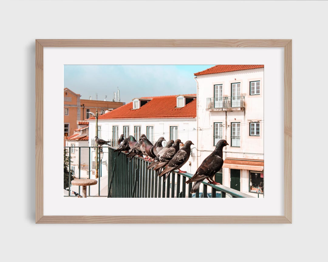 DIGITAL Horizontal Poster, Pigeons on Railing Lisbon Portugal, Matte ...