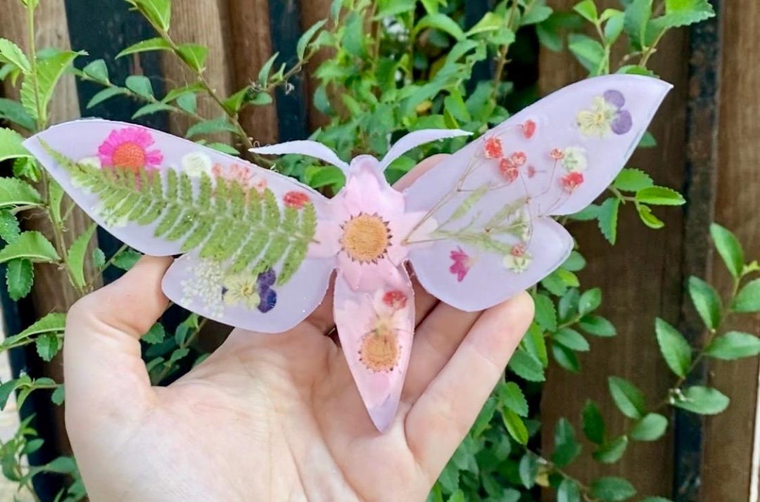 Floral Resin Moth Wall Hanging W/ Dried Flowers Resin Butterfly Wall ...