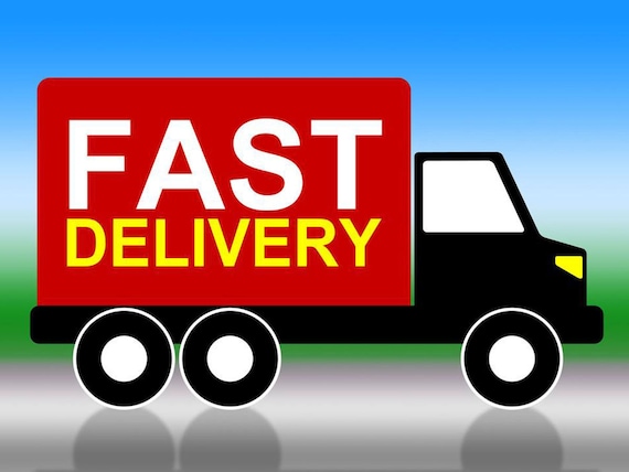 Expedited Logistics Delivery Delivered Within 7 Days | Etsy