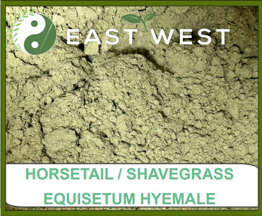Horsetail equisetum Hyemale shavegrass Powder. - Etsy