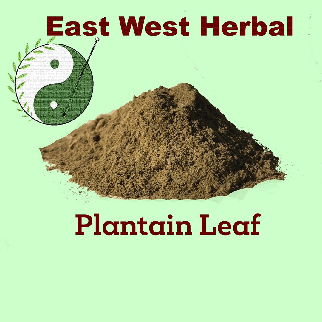 2oz Plantain Leaf White Man's Foot Broadleaf Plantain Powder Herb Tea ...