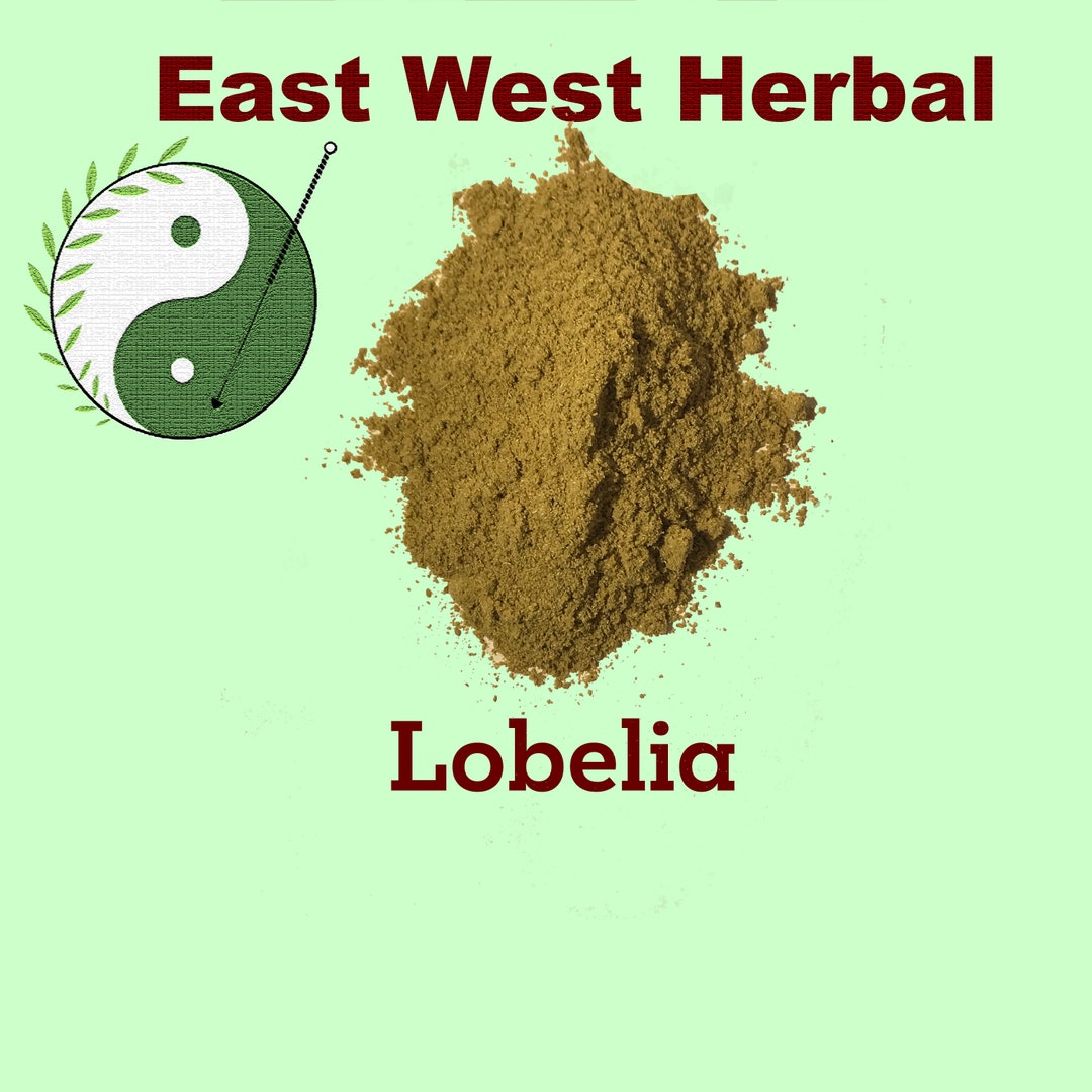 2oz Lobelia Powder, Inflata Herb Herbal Tea Loose Leaf East West Herbal ...