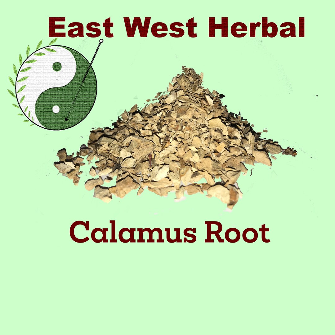 2oz Calamus Root Herb Tea Acorus Calamus East West Herbal - Etsy