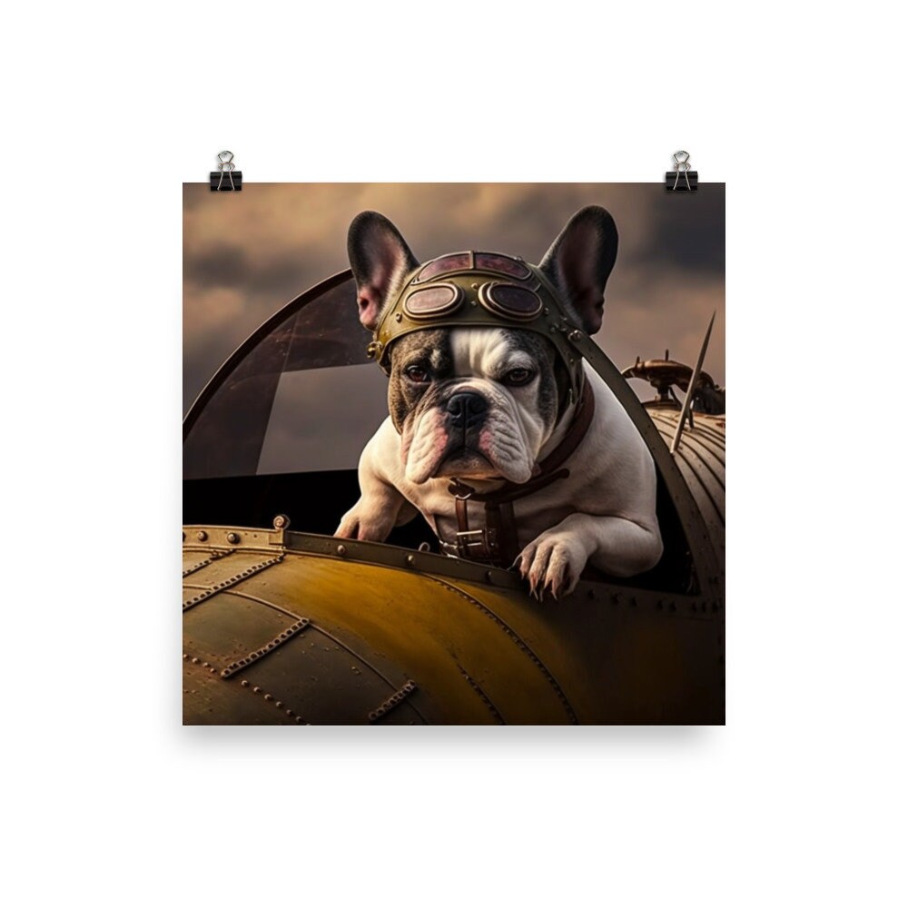 POSTER: French Bulldog Flying a Fighter Jet - Poster - Etsy