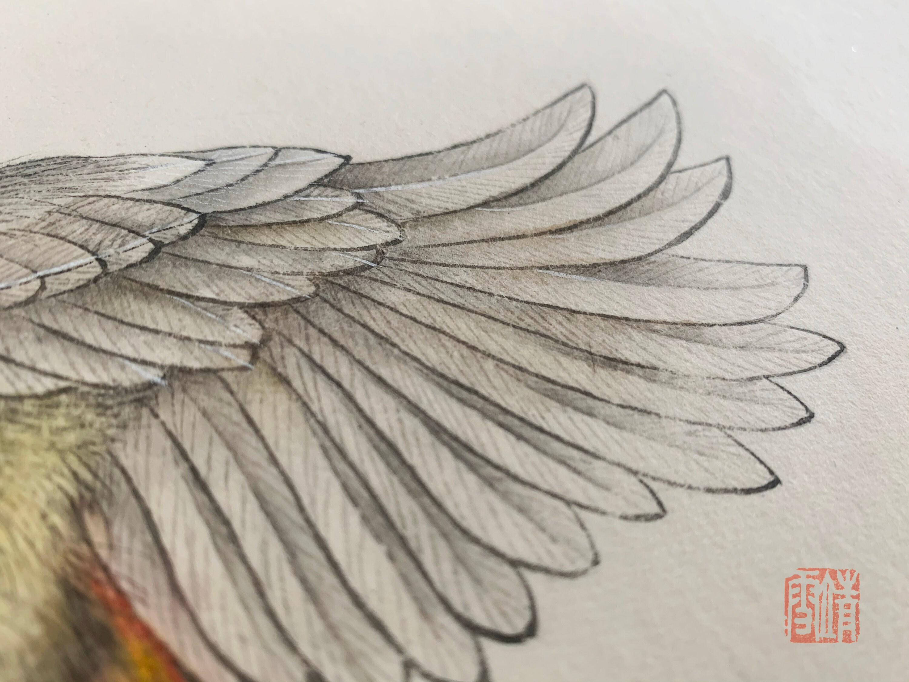 Traditional Chinese Painting Spirit of Life spring Bird Original Work ...