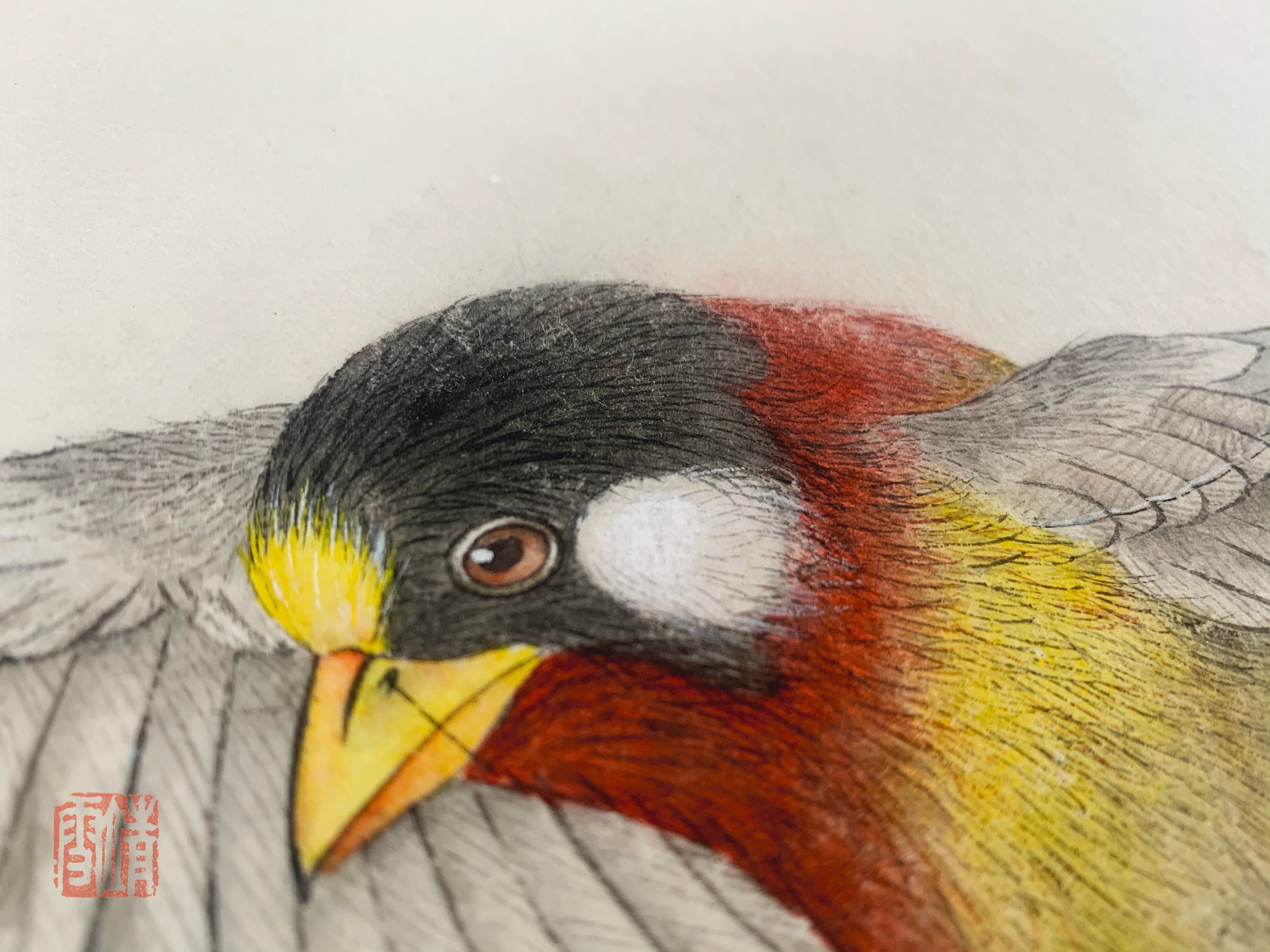 Traditional Chinese Painting Spirit of Life spring Bird Original Work ...