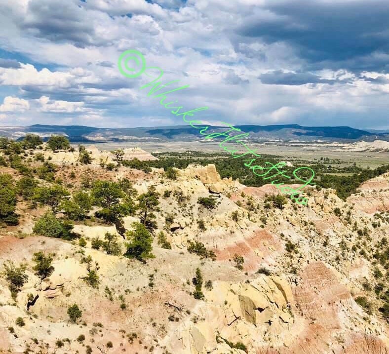 Best view in Lindrith, New Mexico - Etsy 日本