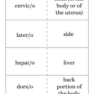 Medical Terminology Combining Forms Printable Flash Cards Set #1 - Etsy