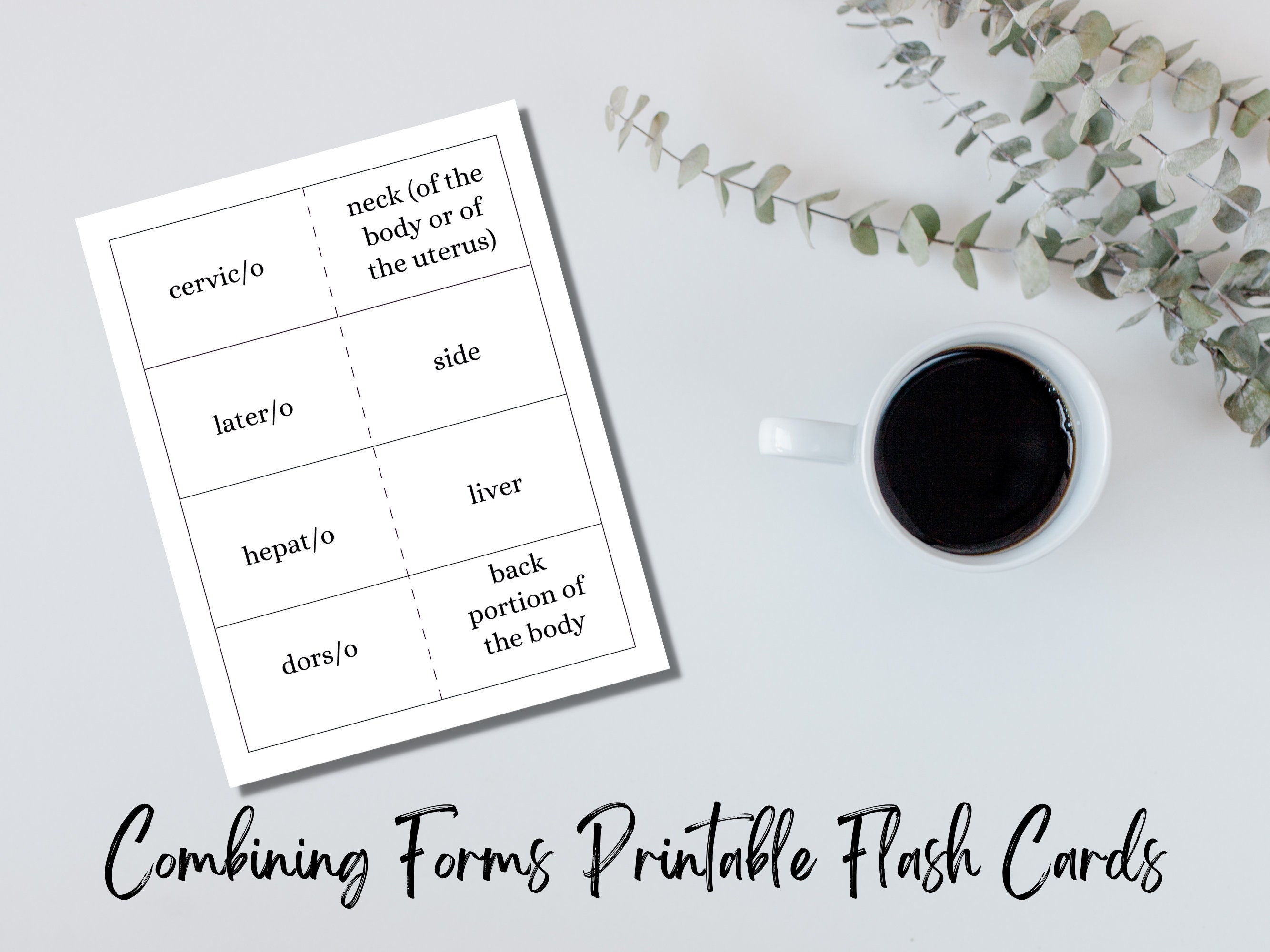 Medical Terminology Combining Forms Printable Flash Cards Set #1 - Etsy