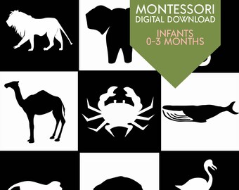 Montessori, Baby Flash Cards, Digital Download, High Contrast Sensory ...